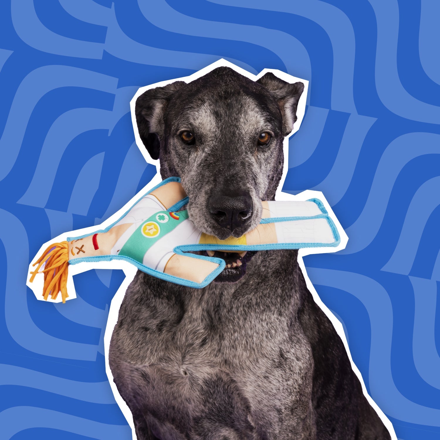 Dammit Dog Toys – Dammit Dolls