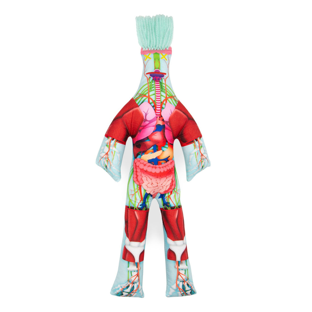 Dammit Anatomy – Dammit Dolls